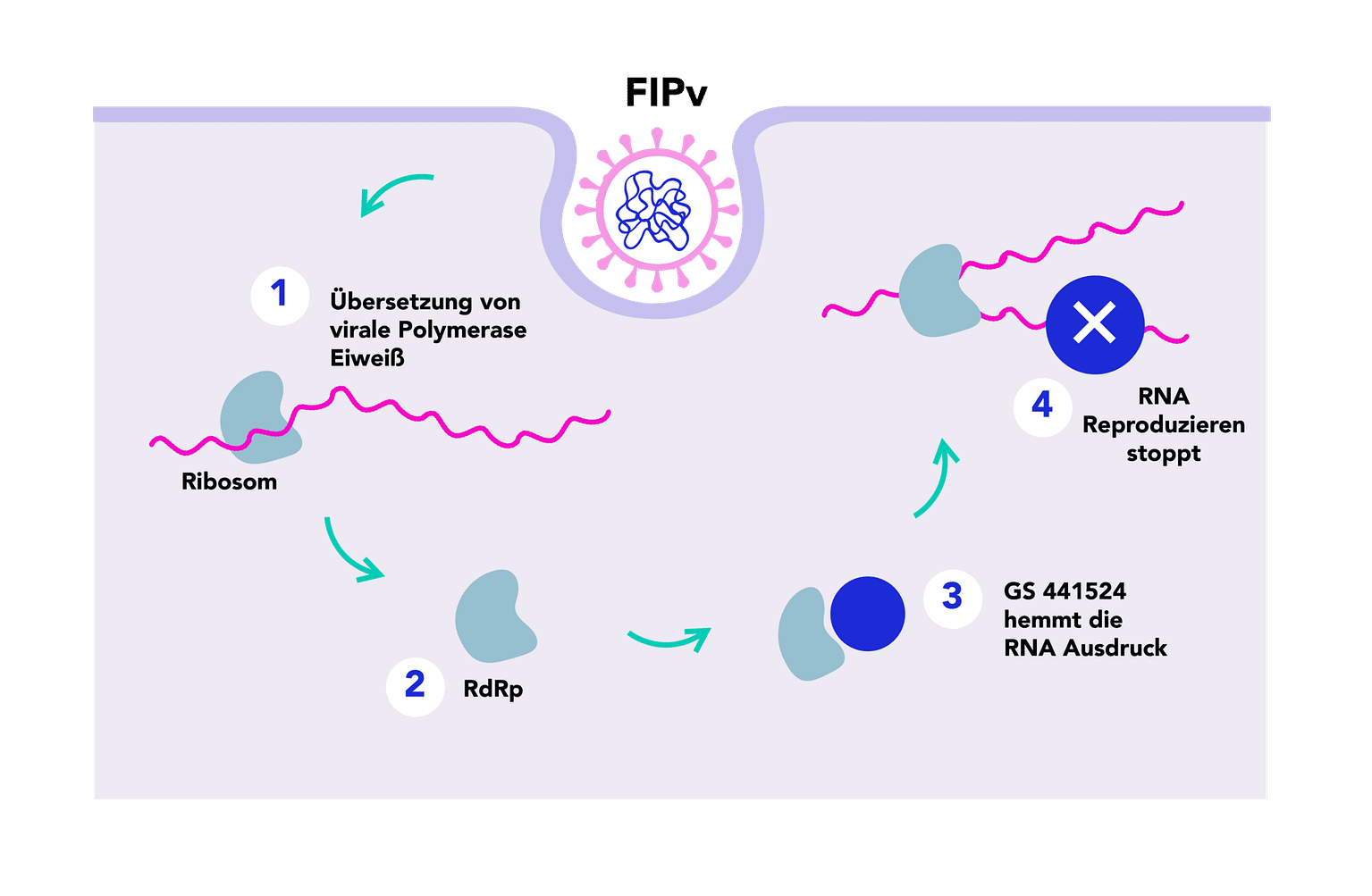 FipMed - Behandlung von FIP bei Katzen - FipMed