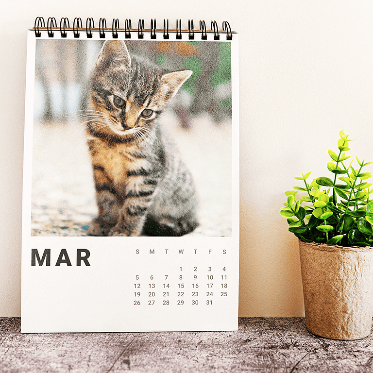 FipMed – FIP Cats Treatment - FipMed